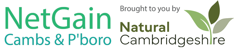 Net Gain - Cambridgeshire & Peterborough